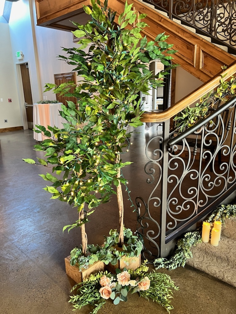 Ficus Trees | Wedding & Event Decor Rentals - SE Idaho & Jackson