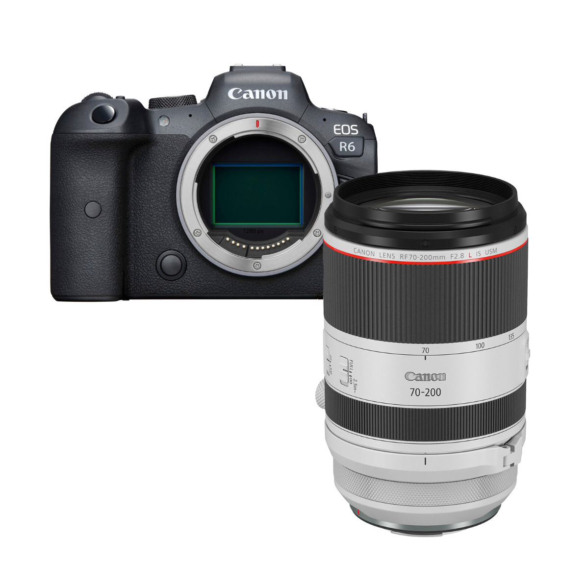 Canon R6 + RF 70-200mm f2.8 | Lightchasers Rentals