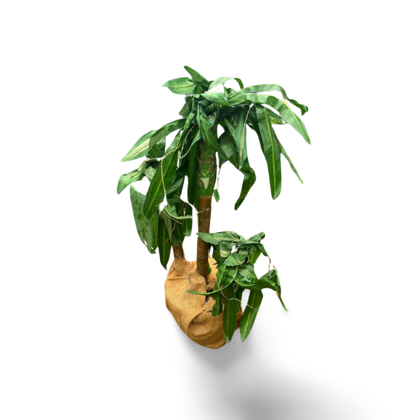 The Little Props Store | Artificial Tree Type 3 | Theatre Props Hire ...