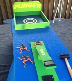 Froggy Flinger Carnival Game Rental | Houston, Humble | Bounce House ...