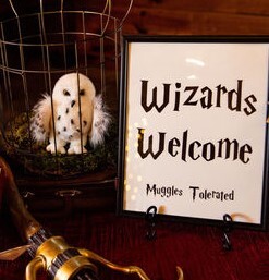 Wizards Welcome Sign | Nerdy Fox Rentals & Designs