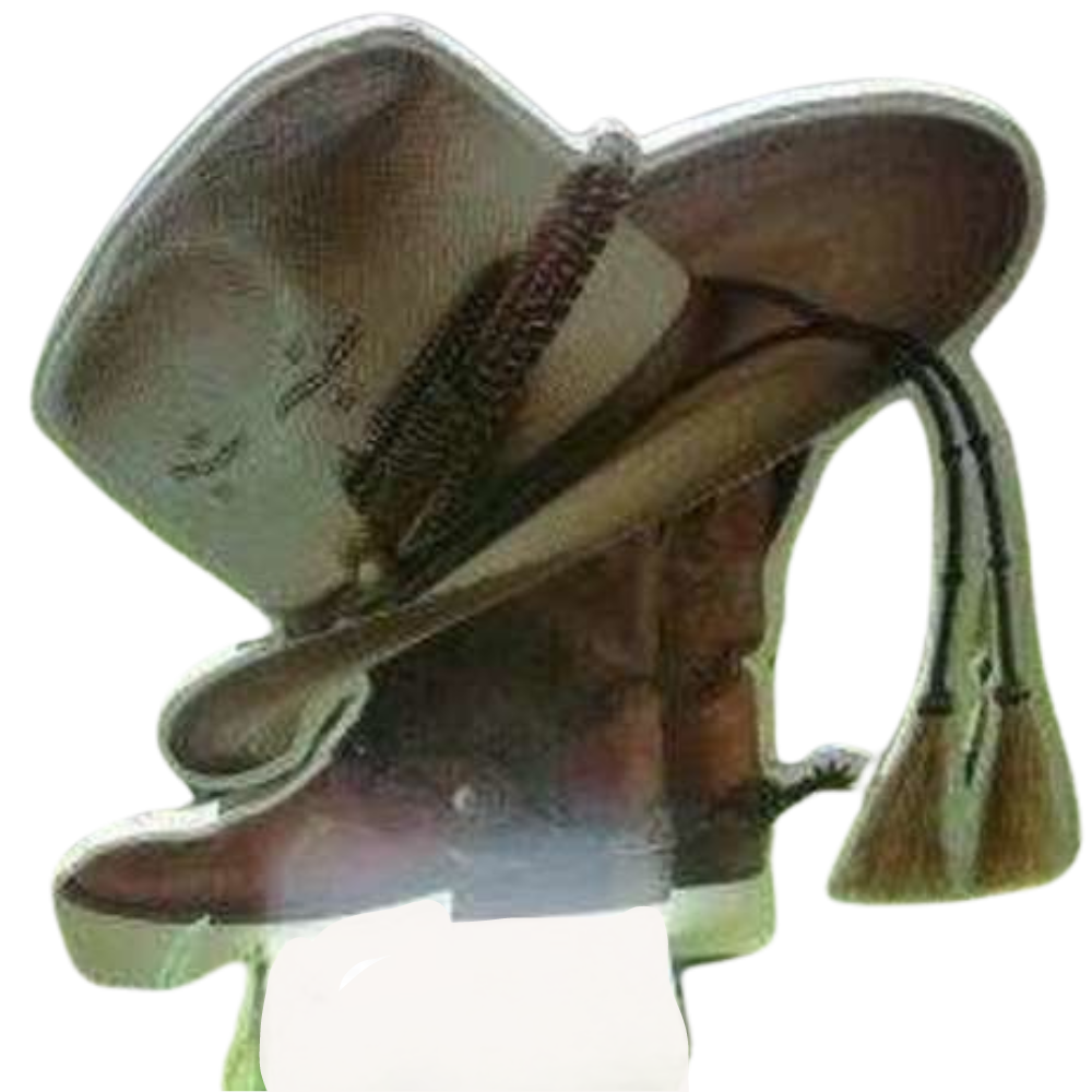 S1173 Cowboy Boots | Dazzling Props