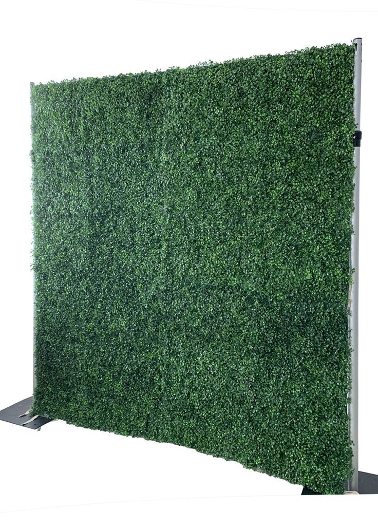 Boxwood Photo backdrop | Mission Rentals