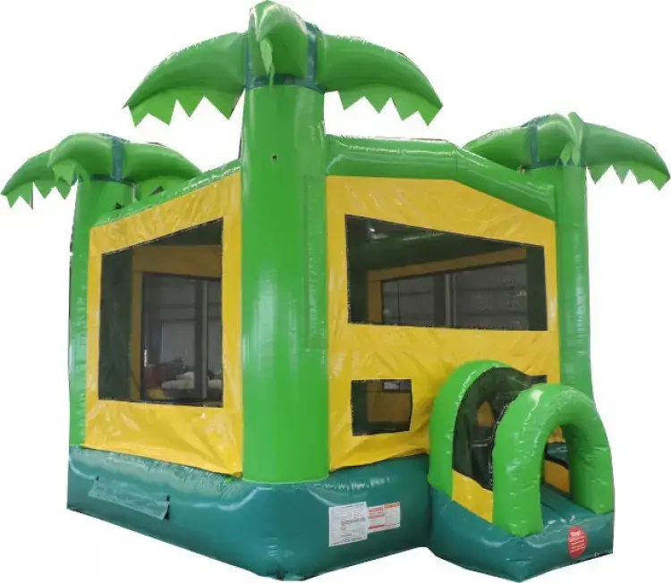 Tropical Palm Paradise | Bright Side Bounce Co. - Serving Woodstock & Canton