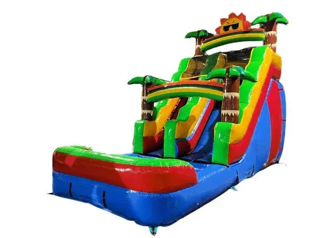 Sunny Slide | Bright Side Bounce Co. - Serving Woodstock & Canton