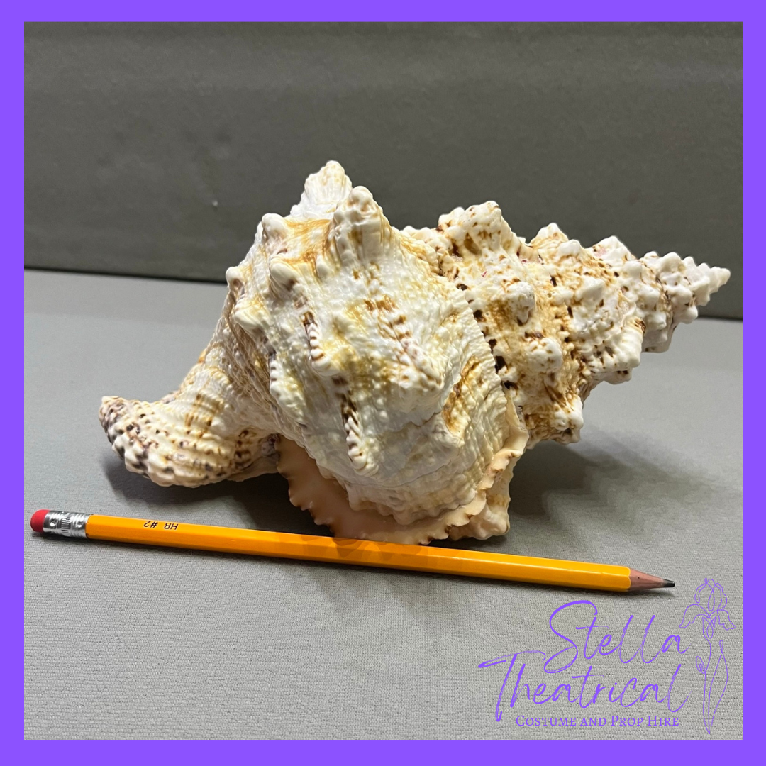 Large Light Up Conch Shell | Stella Theatrical