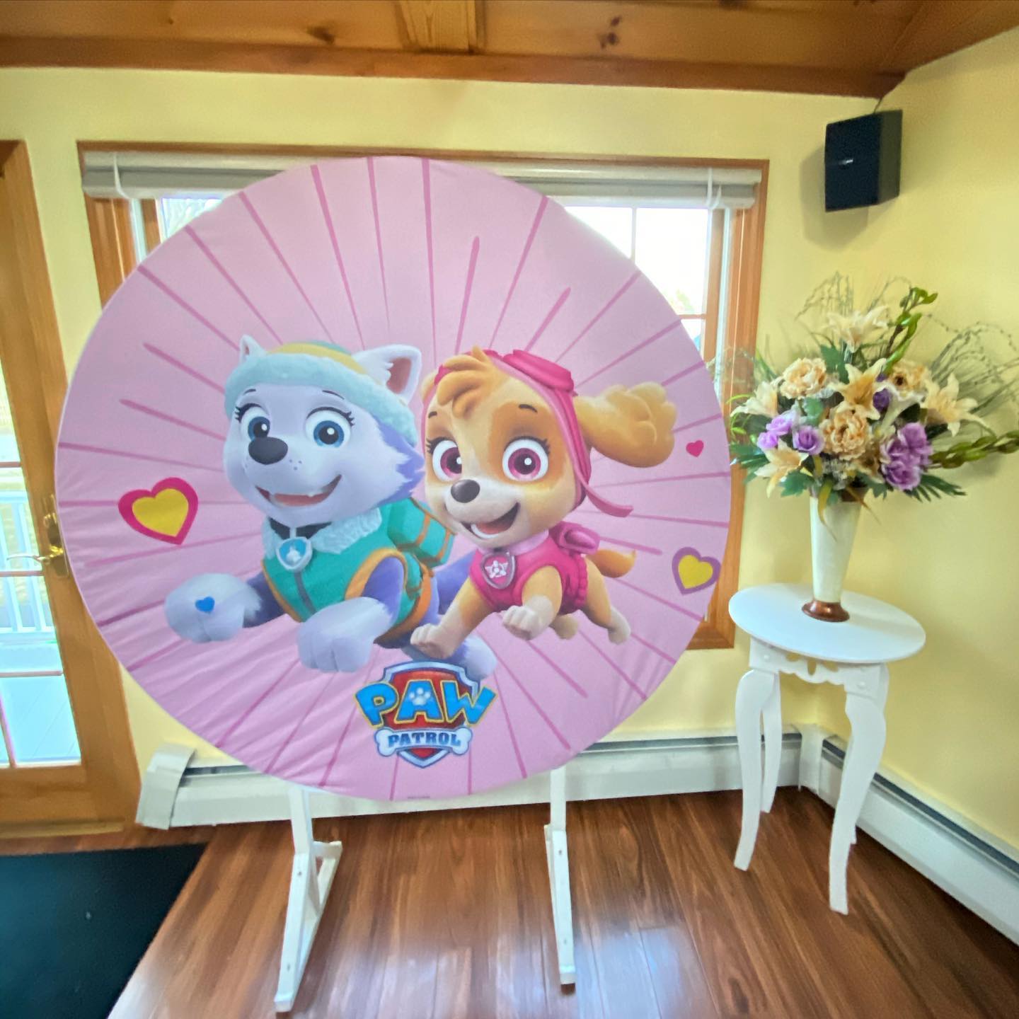 5ft Pink Paw Patrol Round Backdrop | Tuckers Party Rental West Hartford ...