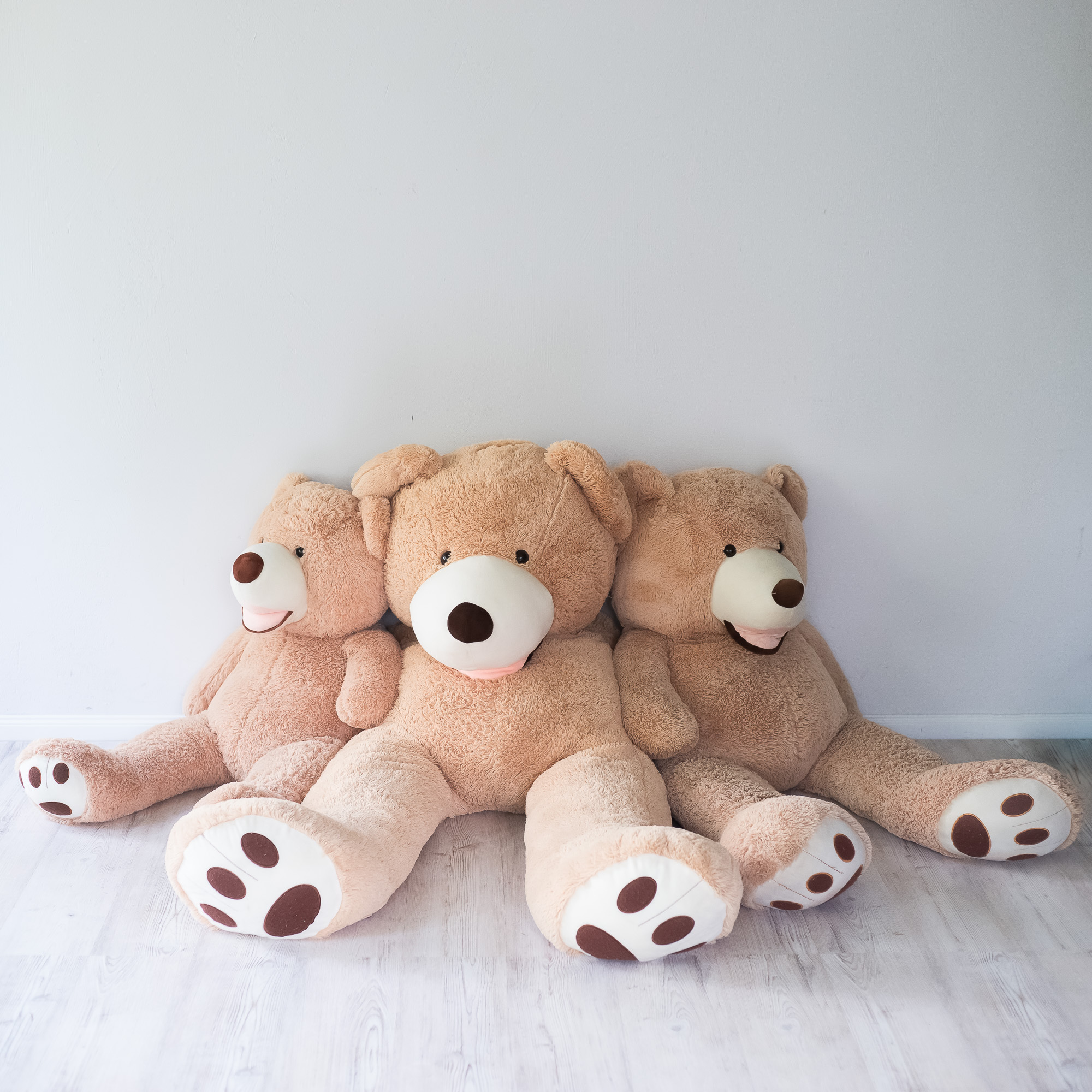 3 x XL Teddy BEAR | VELVET
