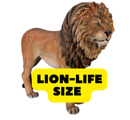Lion -Life Size | Party Rentals & Event Venue in Marietta - WIDEST VARIETY