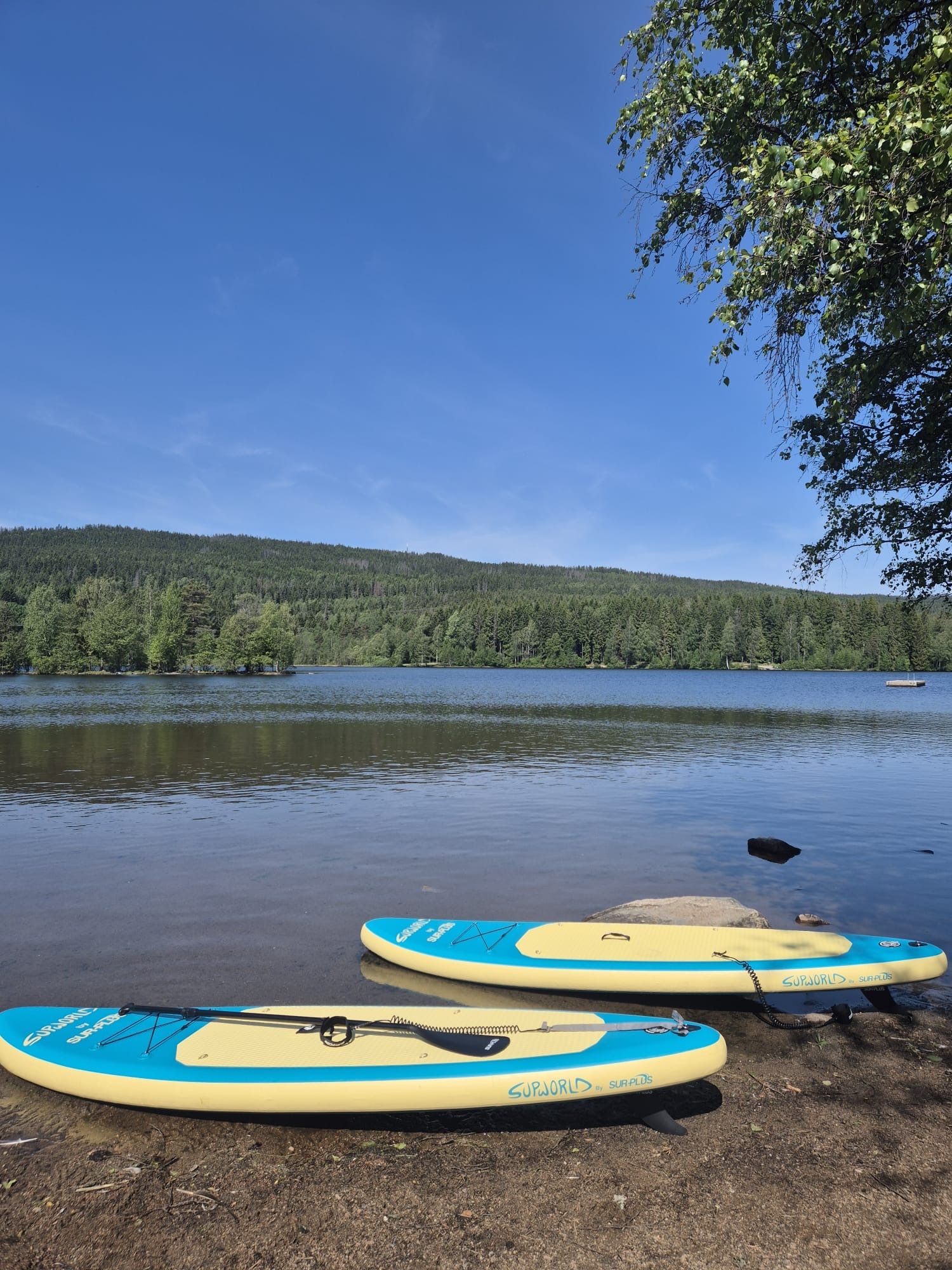 Lightweight Paddle Board Rental | Nordic Gear Rentals