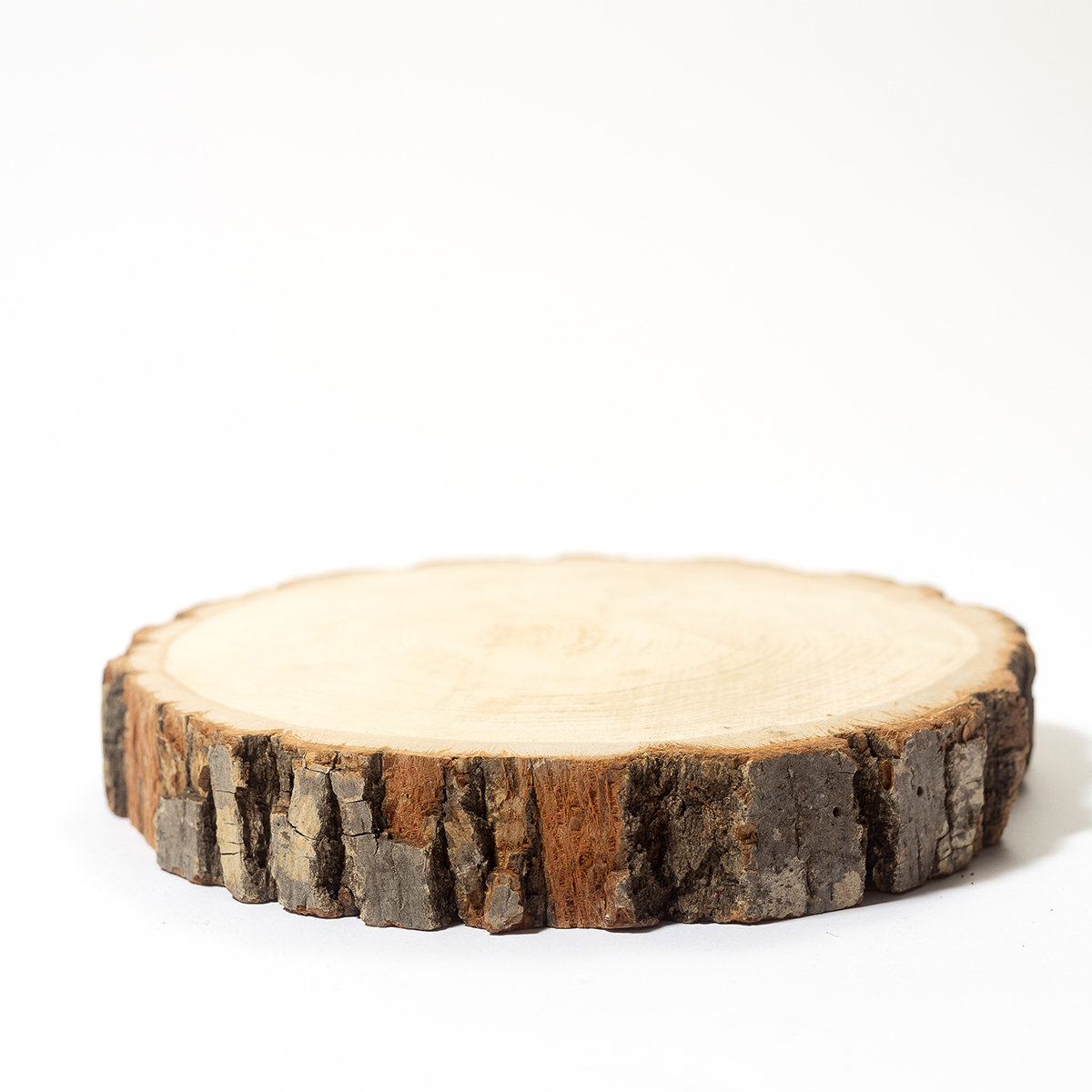 Basswood Slab, Tree Cross Section, Riser, Christmas - 8' x 1.25' | Prop ...