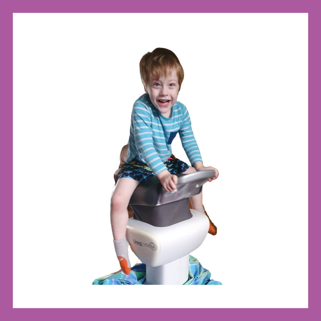 GYM 342 IJoy Ride (horse riding simulator) | Gympanzees Lending Library