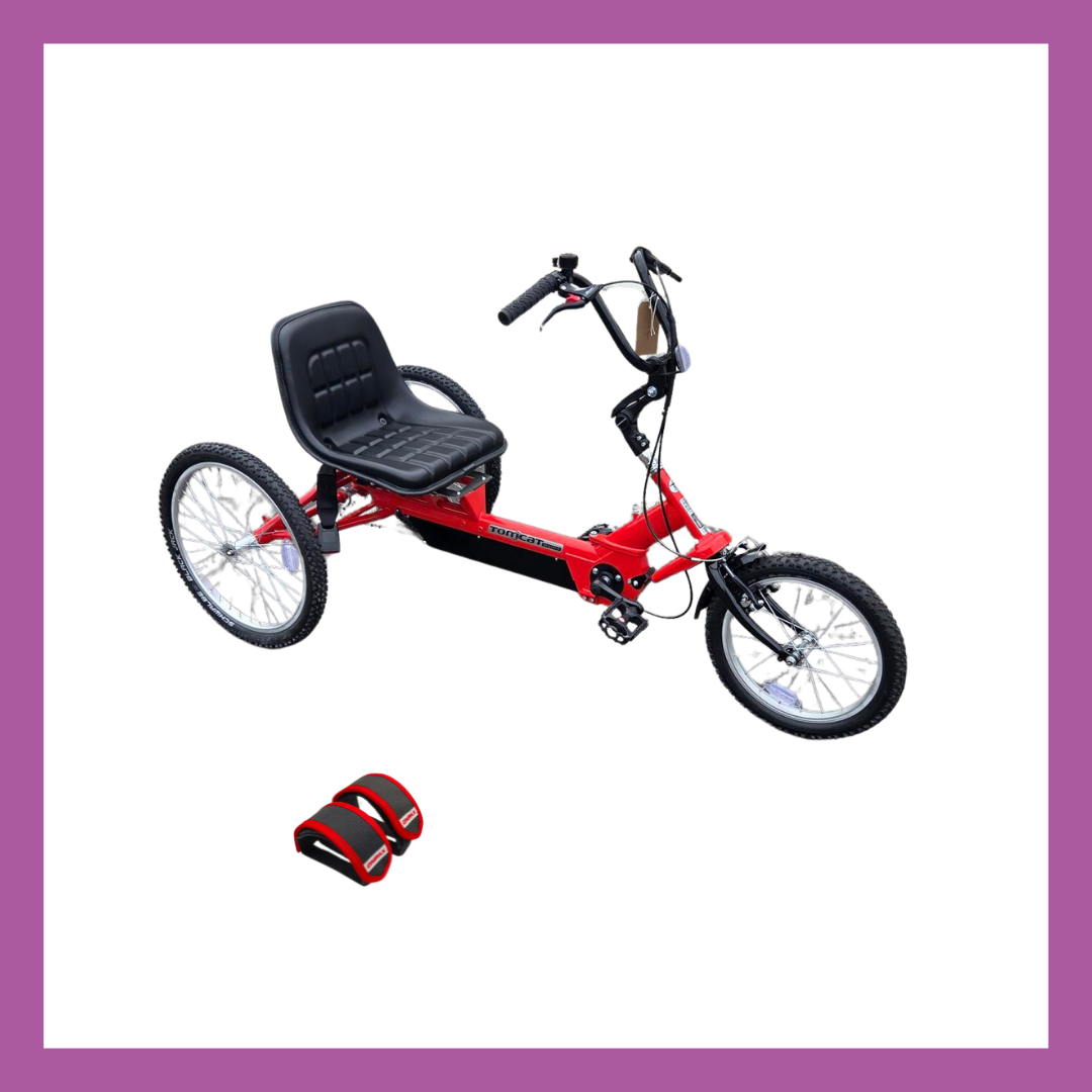 GYM 106 Tomcat Dragonfly Trike | Gympanzees Lending Library