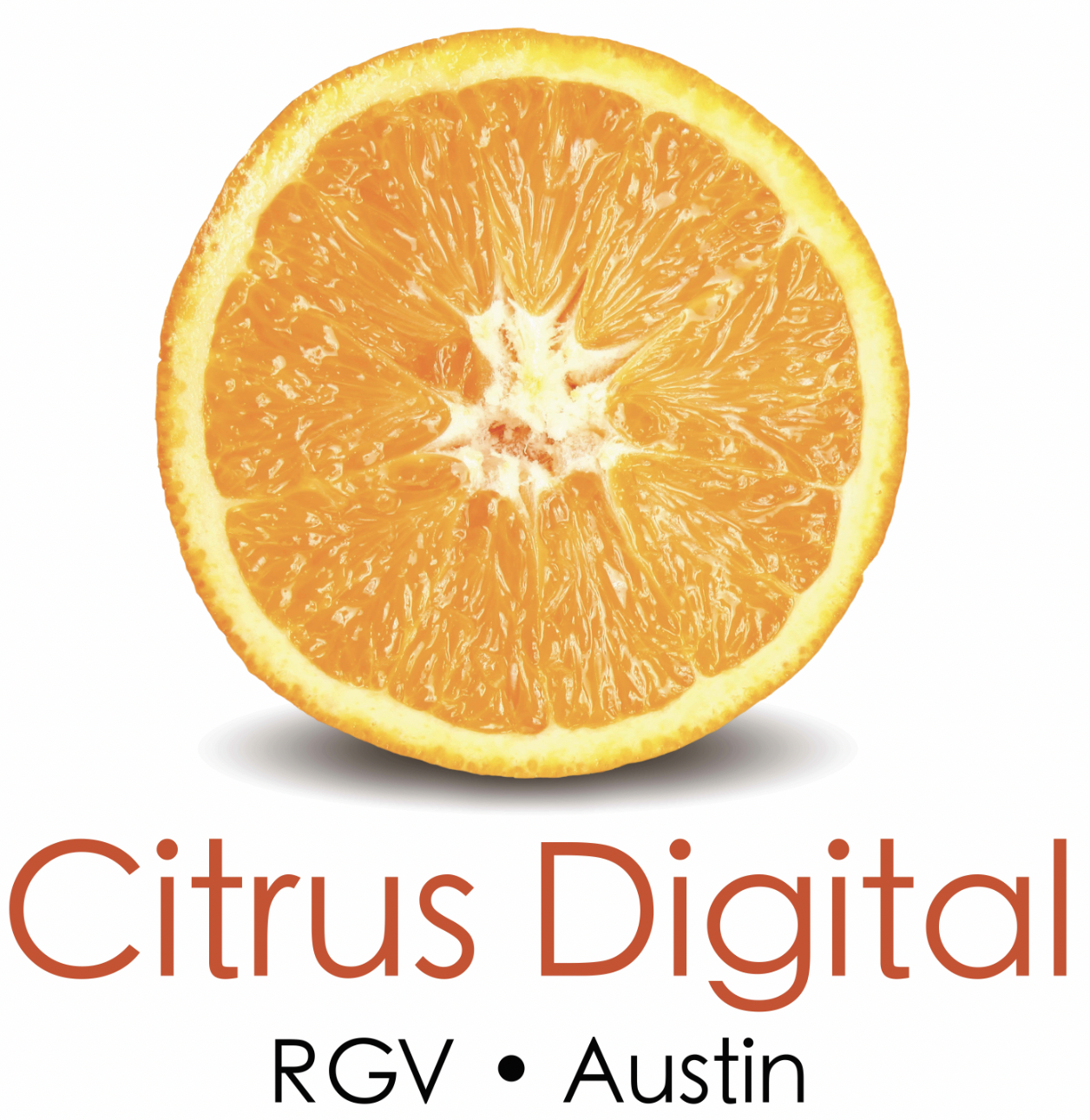 LED LIGHTING | Citrus Digital