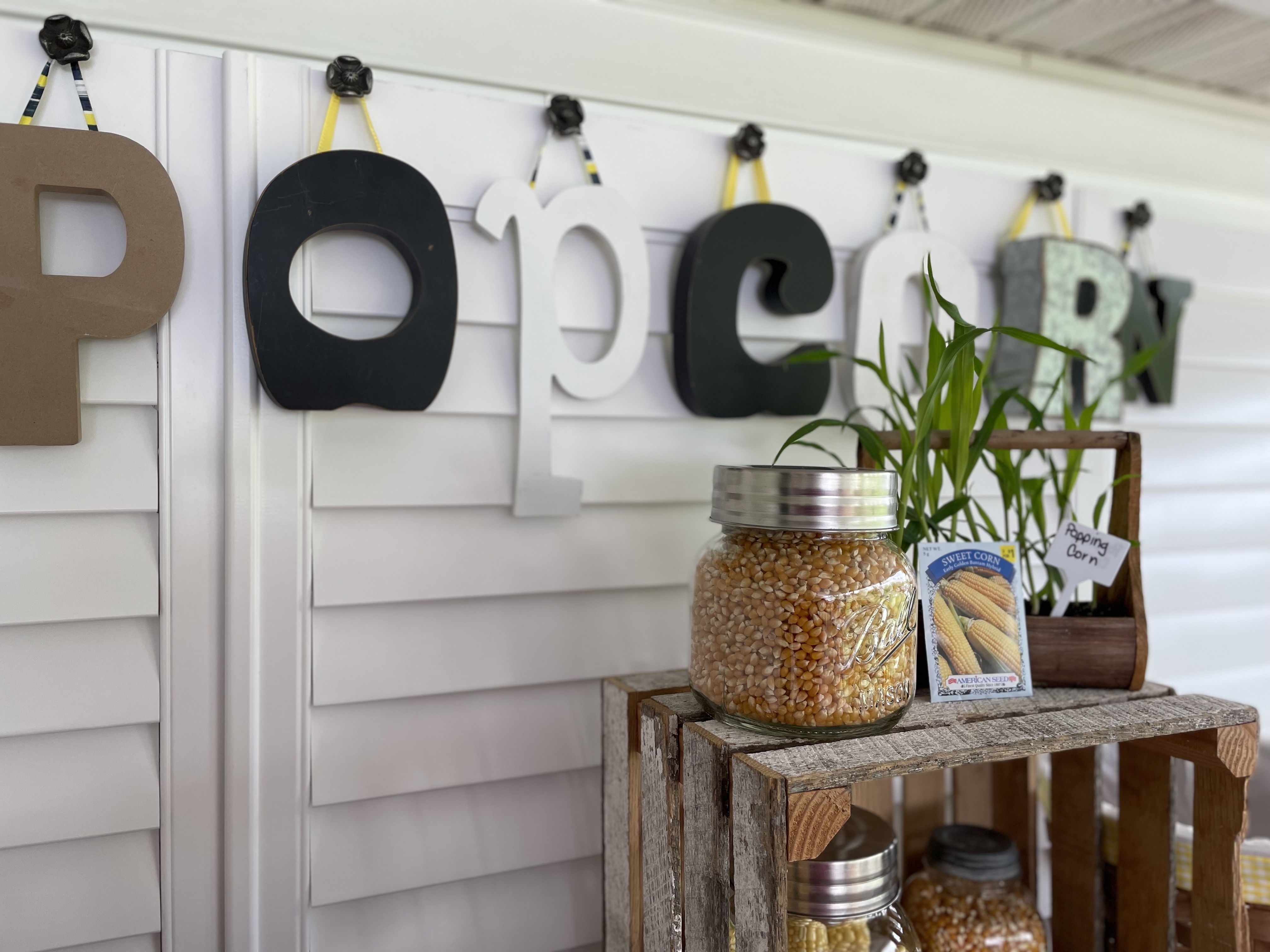 Popcorn Bar | Saffron and Birch Socials