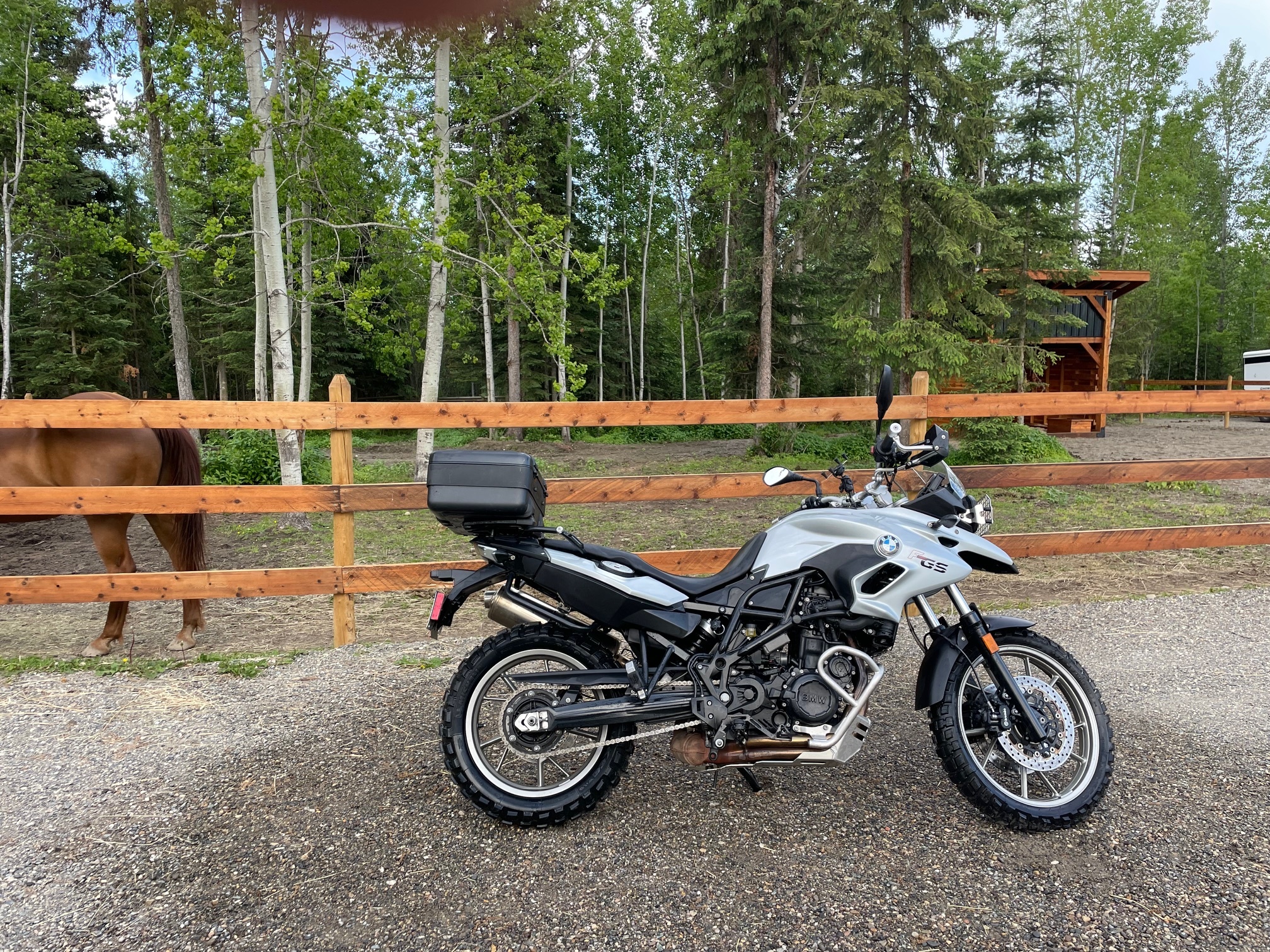 BMW F700GS Silver Streak | S.V.S Adventures and Ranch
