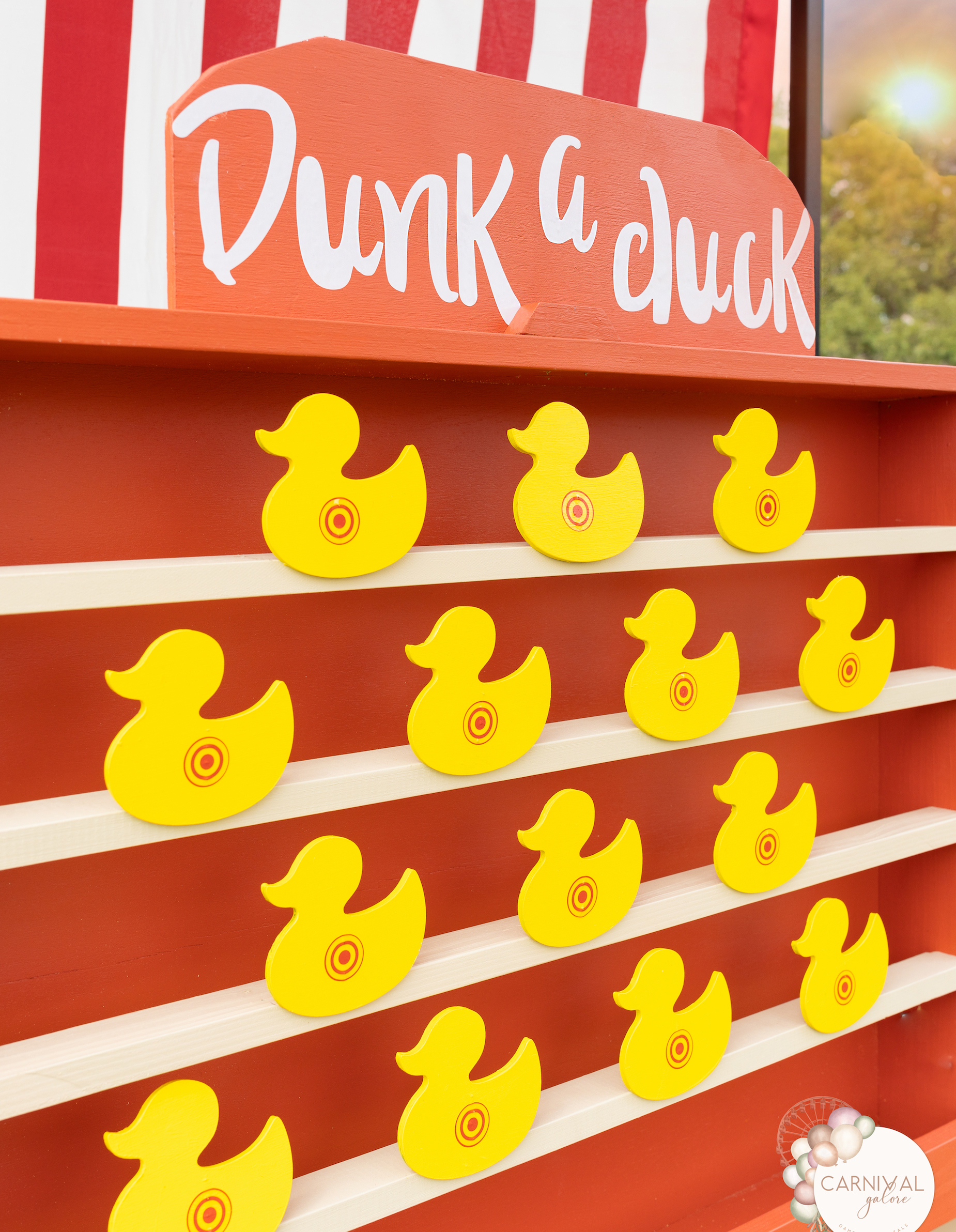 Experience Fun and Excitement with our Dunk a Duck Game | Carnival ...