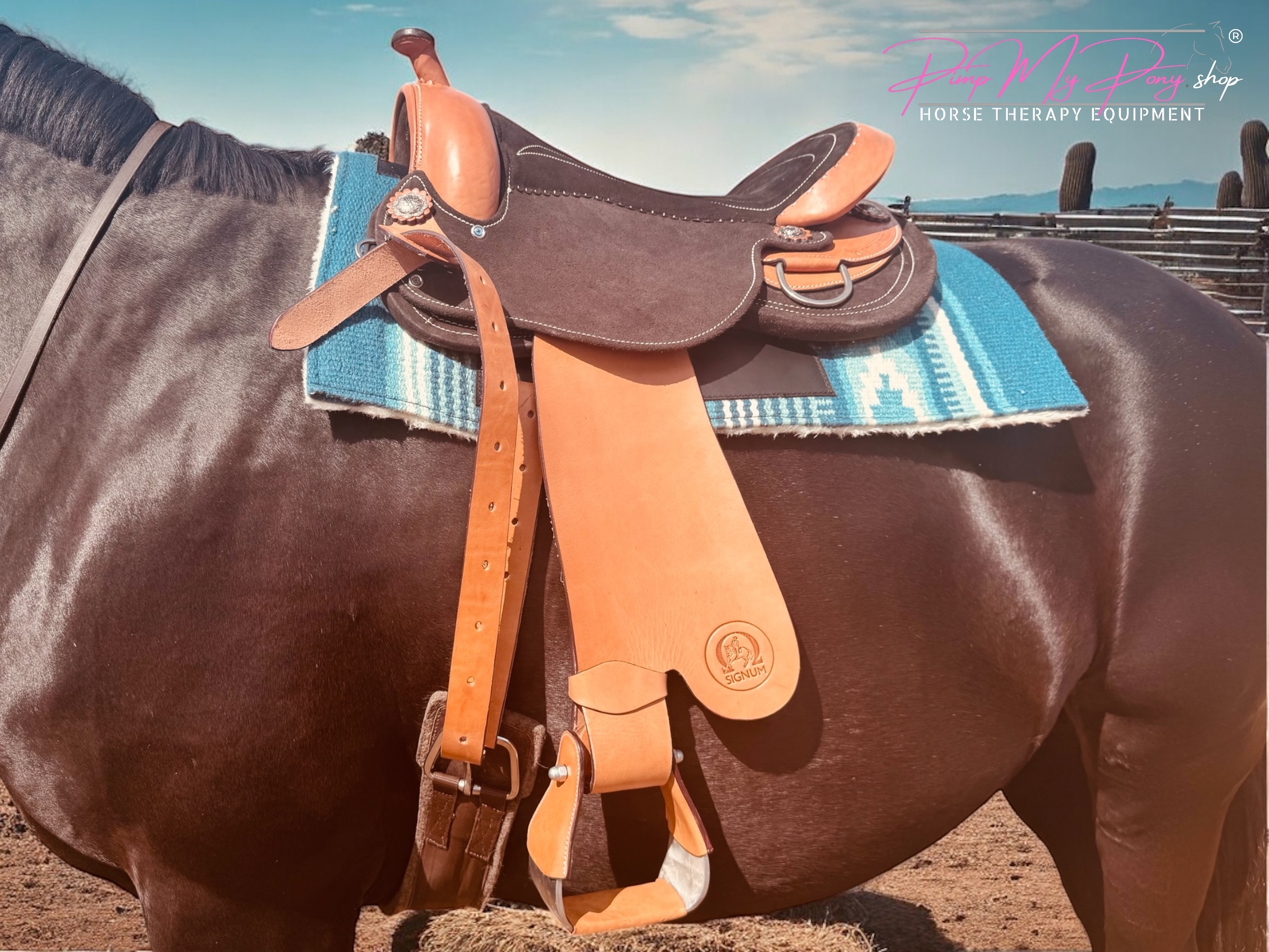 SIGNUM WESTERN PADDLE | leihen | mieten | testen | Versand | MietMaxX.shop®