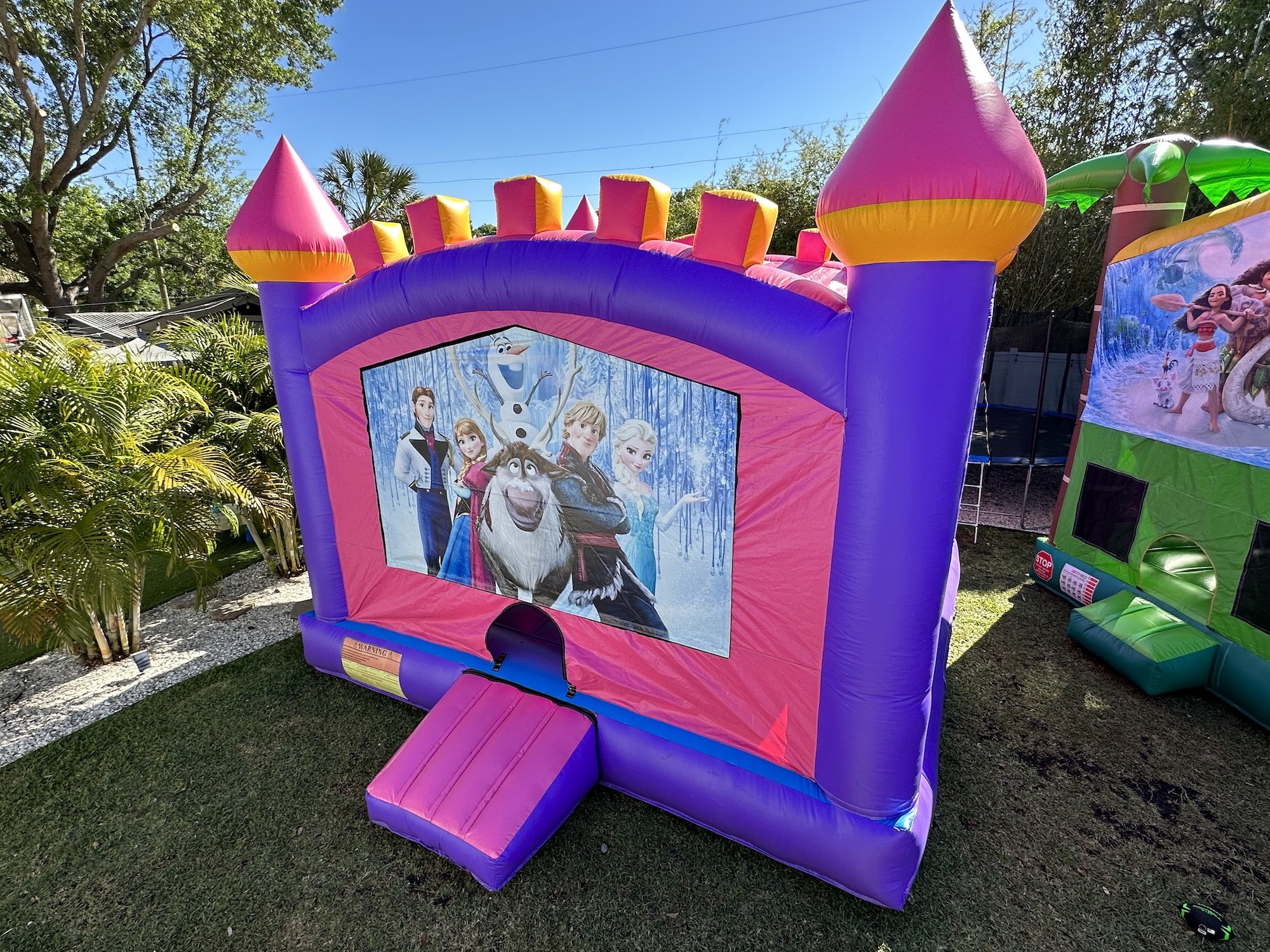 Frozen Pink Castle With Basketball Hoop 15 x 15 | Quality Bounce House