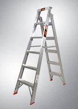 Dual Purpose Ladders | Tenley Hire