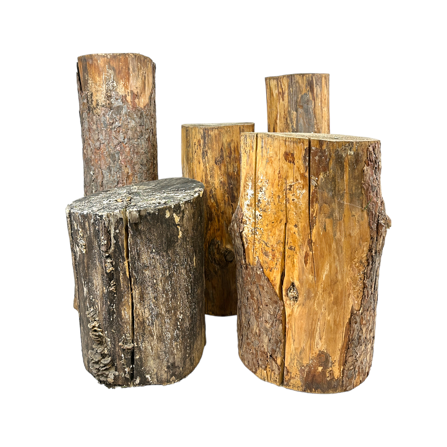 652 - Greenery - Assorted Tree Stumps - Various Sizes - Raw/Natural ...