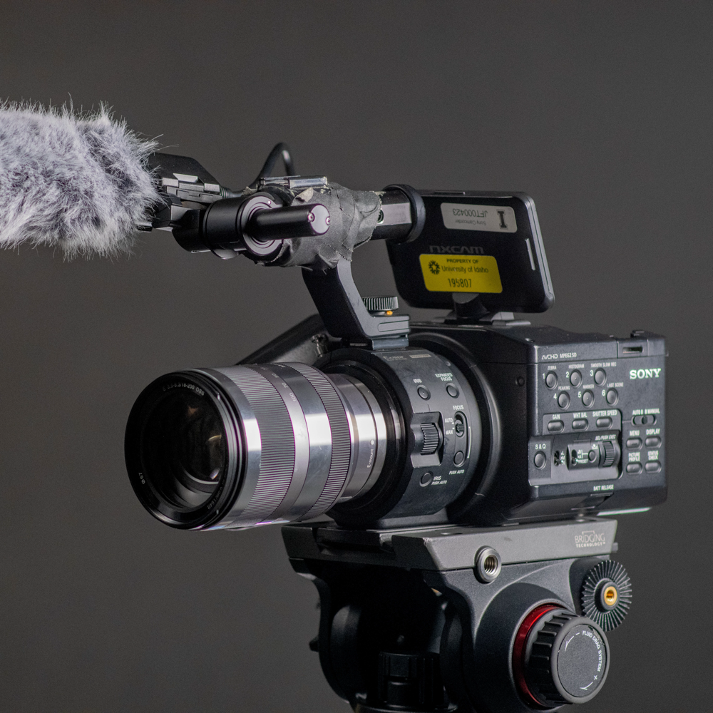 Sony FS-100 | UI JAMM Checkout
