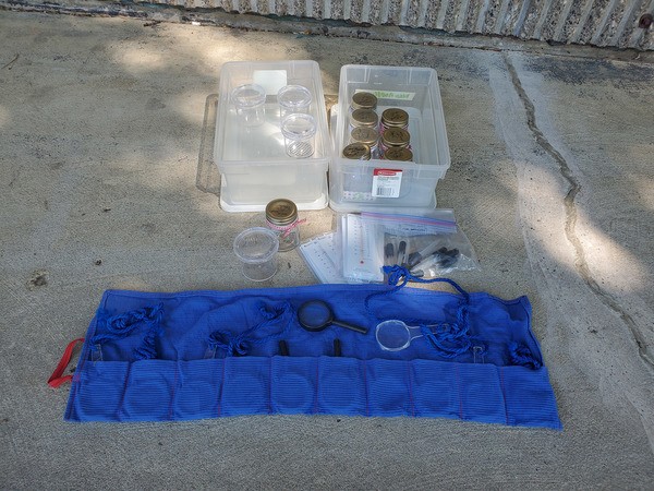 Nature / Bug Exploration Kit | EFCL