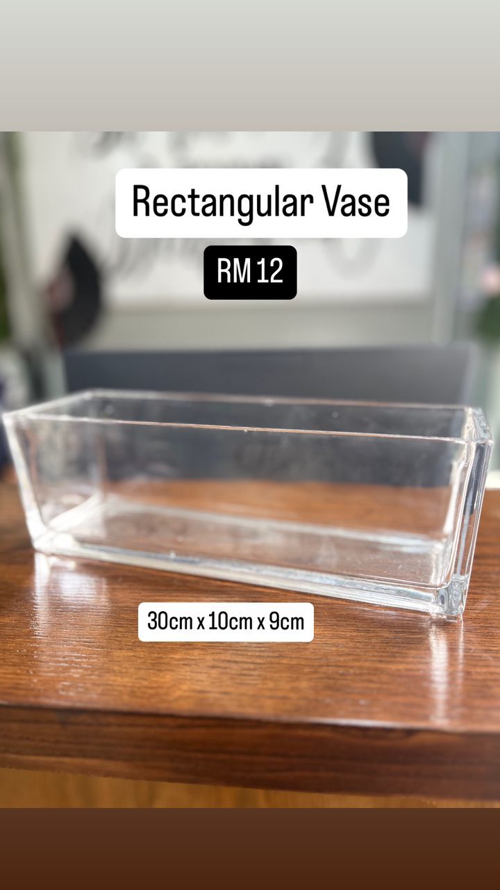 Rectangular Vase | HOUSEOFSIX PLT 202204002402 (LLP0032689-LGN)