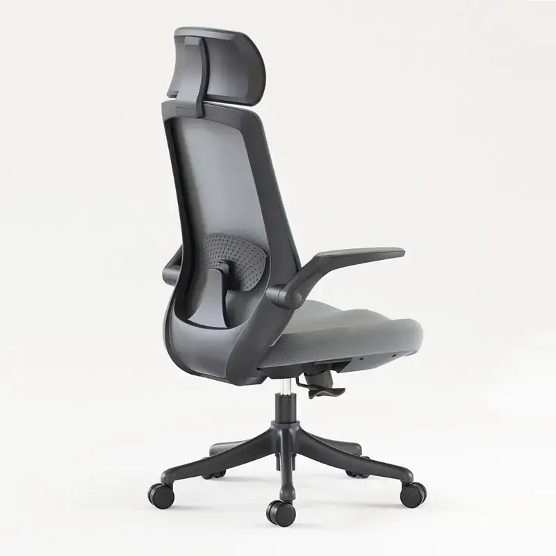 Ergo Elite Comfort Chair for Rent in Thailand | Ergonomic | The Nomad's ...