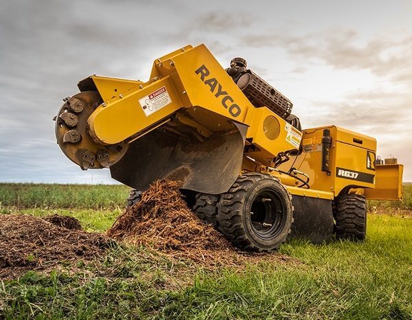 Rayco RG37 Stump Grinder | Big Bend Tool & Equipment Rentals LLC