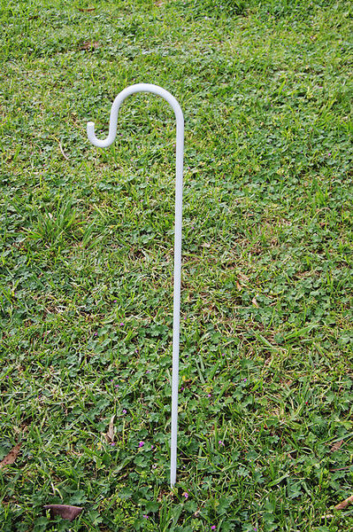 White wedding shepherd hooks 100 cm with 2 prong | Getzhire - Party ...
