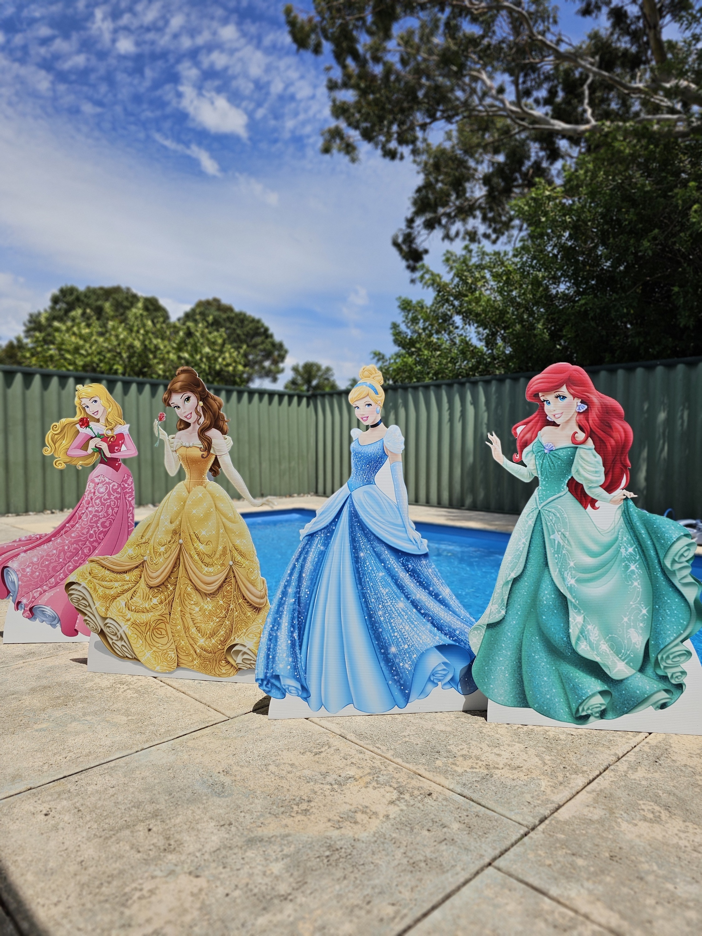 Princess Cut Out Bundle Hire | Avon Party Hire Northam Toodyay